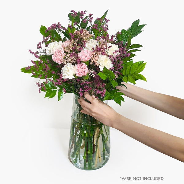 Carnation 101: Flowers & Their Meanings