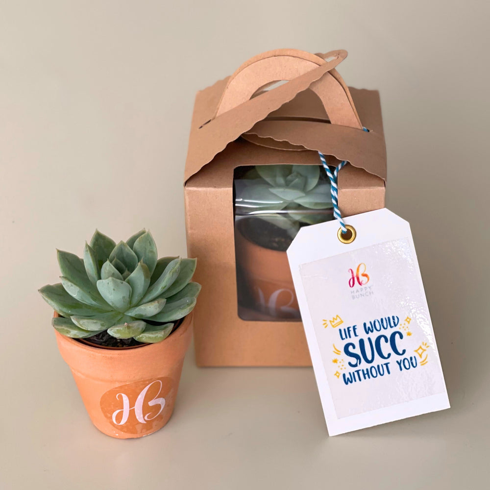 Subscription Bunch - Happy Bunch Malaysia