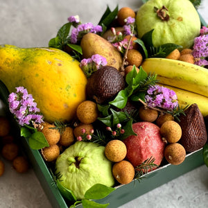 Grace Bunch - Happy Bunch Malaysia